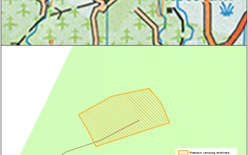 Taurewa Loop Track Carpark | Freedom/Basic Camp | New Zealand